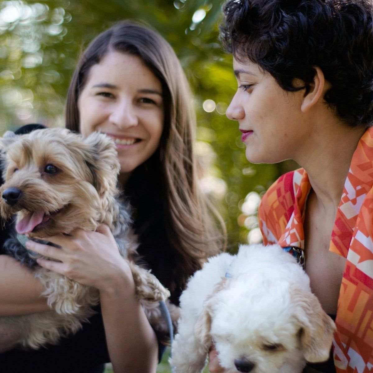 12 Must-Have Products for Multi-Dog Households – Neater Pets