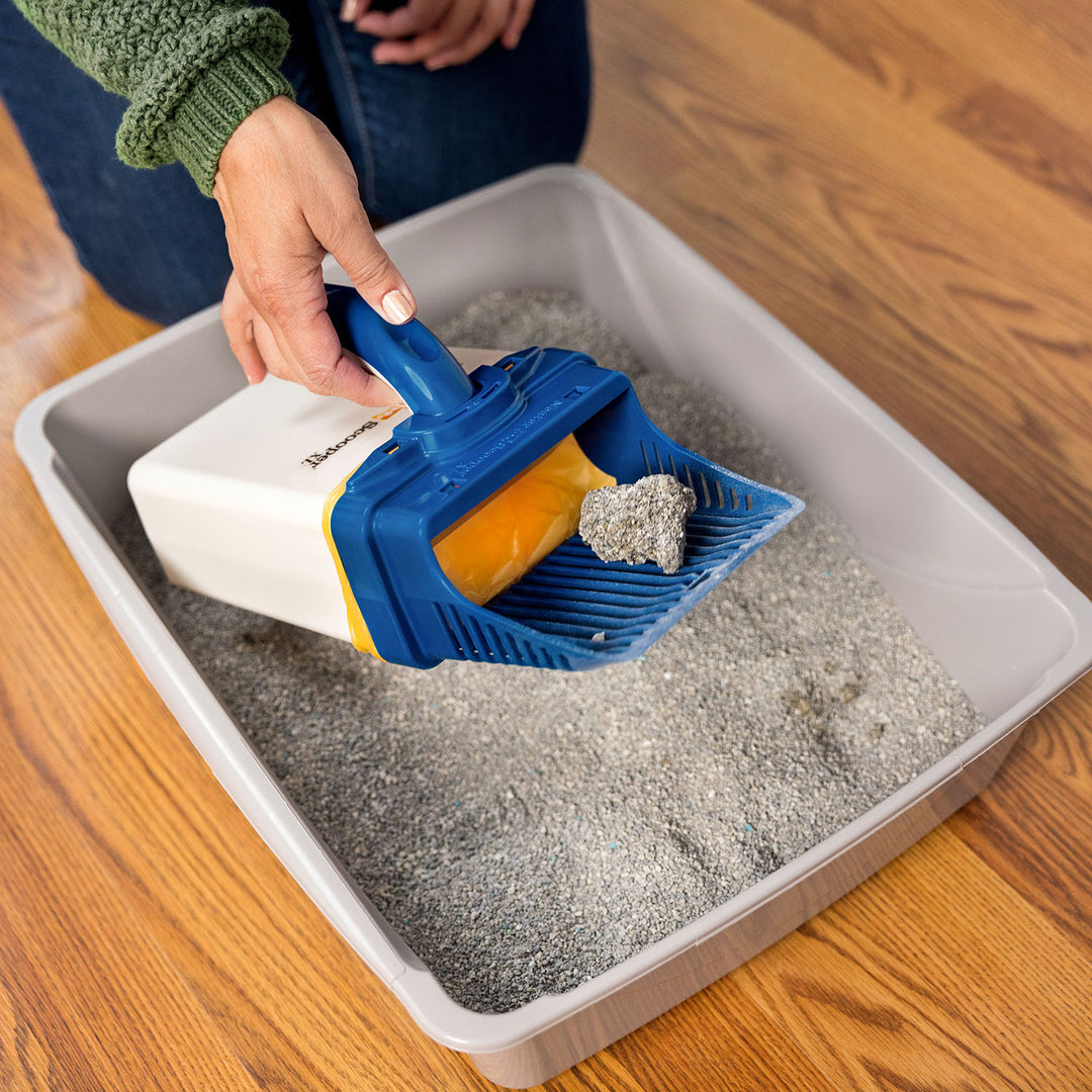 Neater Pets Official Website: Unique and Innovative Products for Pets